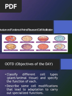 Cell City Analogy Worksheet Guide | PDF | Cell (Biology) | Cytoplasm