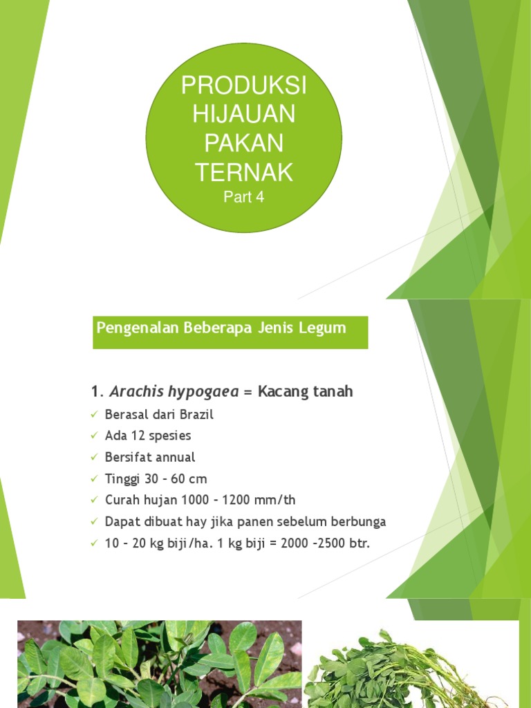 Jenis Leguminosa dan Rumput Pakan Ternak | PDF | Griya & Taman