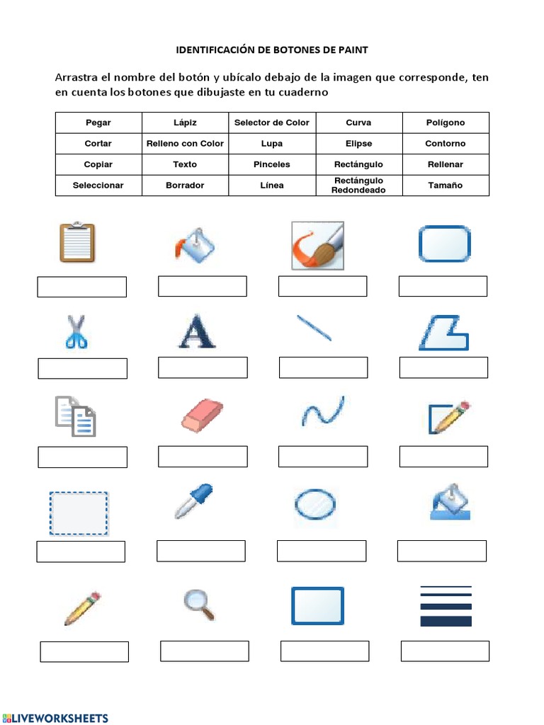 Grado 3 - Ejercicio Paint - Junio 3 | PDF