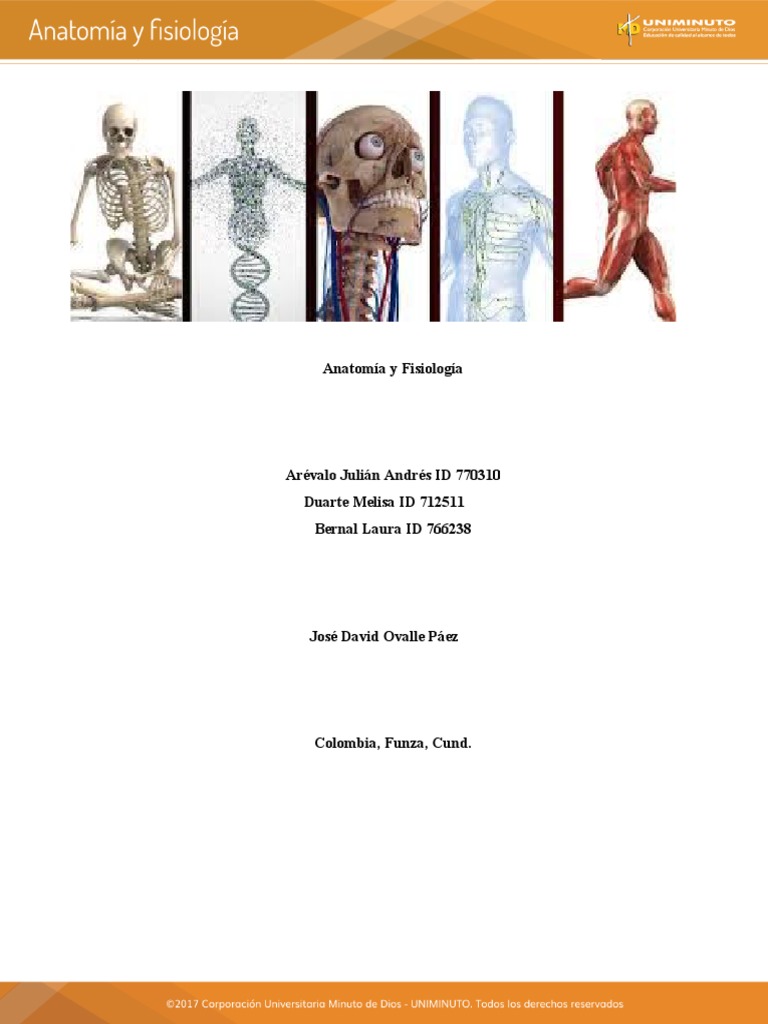 Cartilla | PDF | Digestión | Sistema digestivo humano