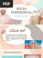 Proceso Alveolar | PDF | Hueso | Anatomía