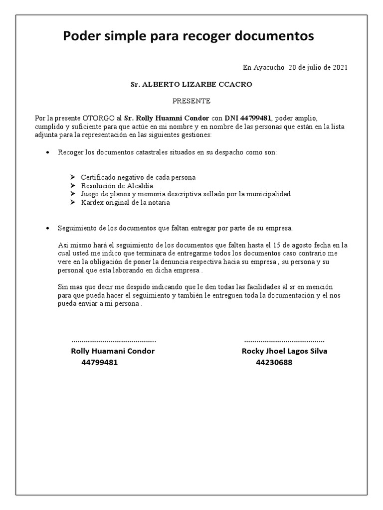 Poder Simple Modelo | PDF