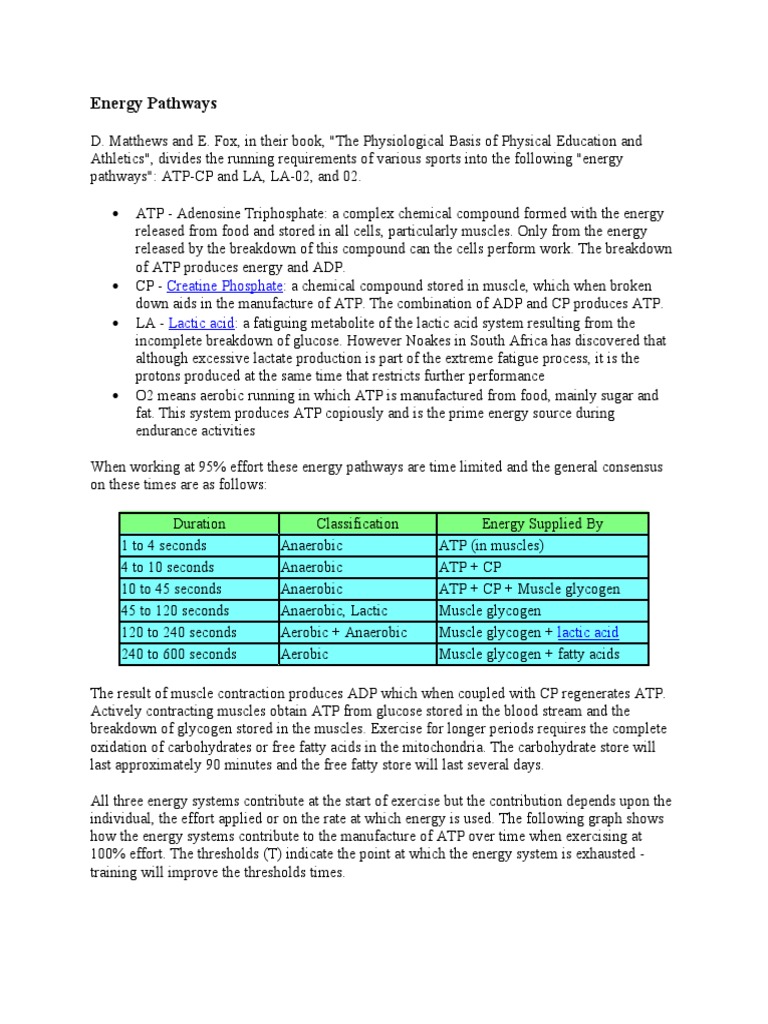 Energy Pathways in Sports Performance | PDF | Adenosine Triphosphate ...
