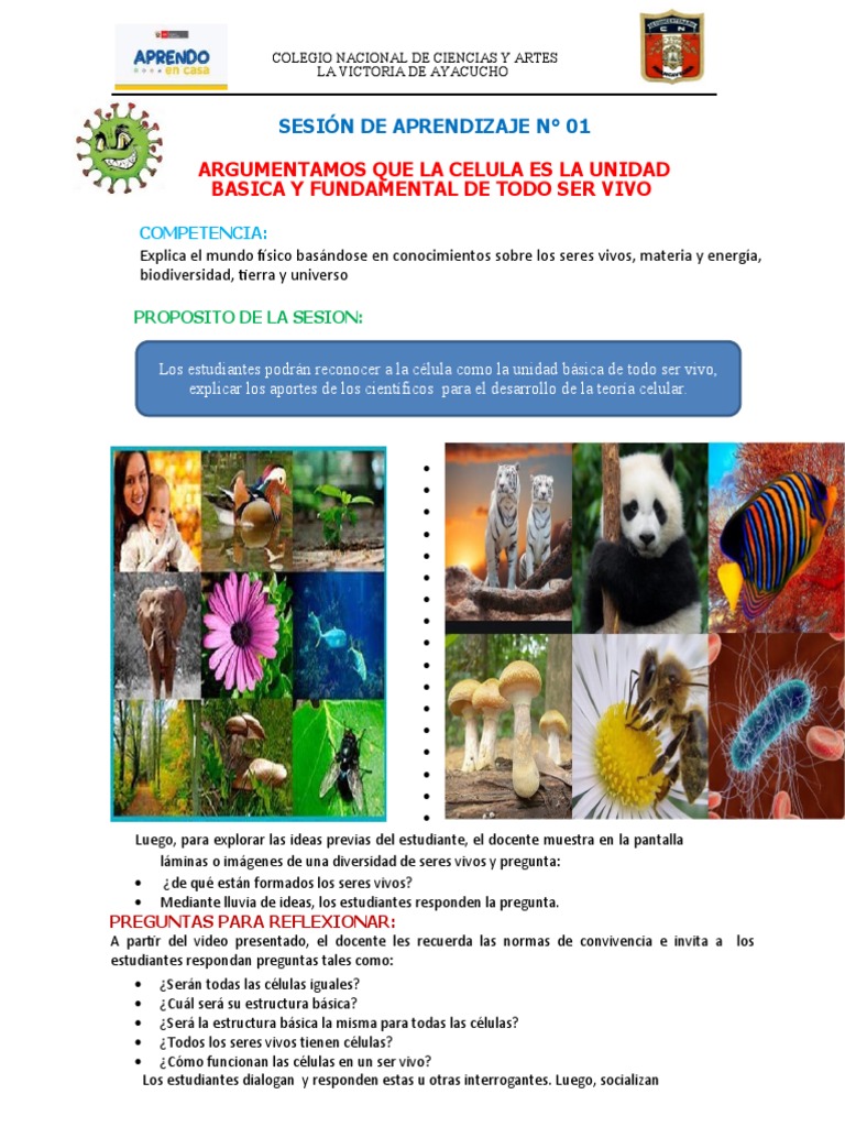 La Célula: Unidad Básica de los Seres Vivos | PDF | Teoría | Biología ...