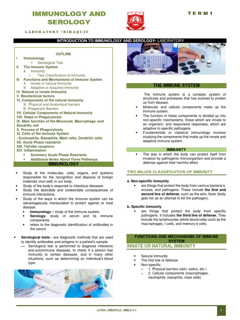 Immunology and Serology Lab Introduction | PDF | Immune System | Innate ...