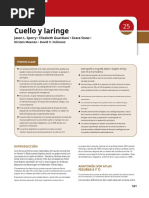 Incisión Rocky Davis | PDF | Medicina CLINICA | Anatomía