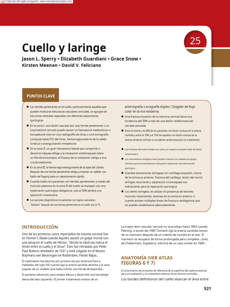 Mattox Trauma DE CUELLO - En.es | PDF | Lesión | Angiografía