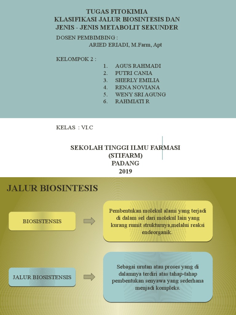 Klasifikasi Jalur Biosintesis Dan Jenis Jenis Metabolit Sekunder | PDF