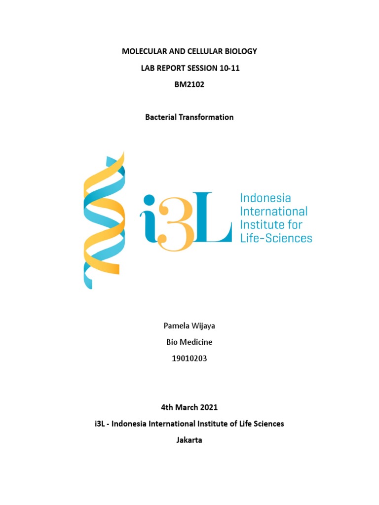 Bacterial Transformation Lab Report | PDF | Plasmid | Transformation ...