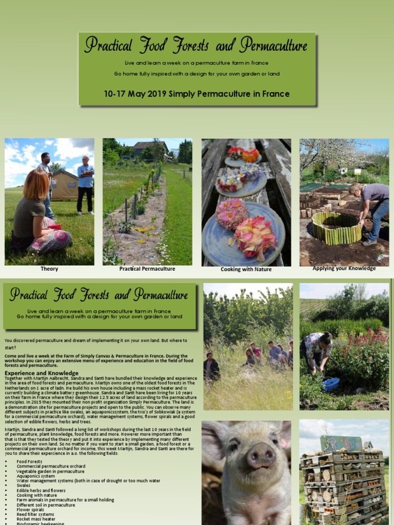 Food Forest and Permaculture English | PDF | Permaculture ...
