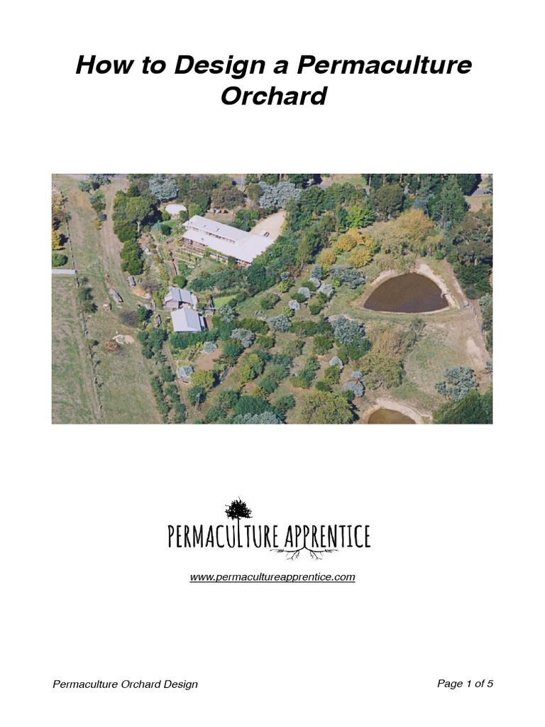 How To Design A Permaculture Orchard | PDF | Permaculture | Orchard