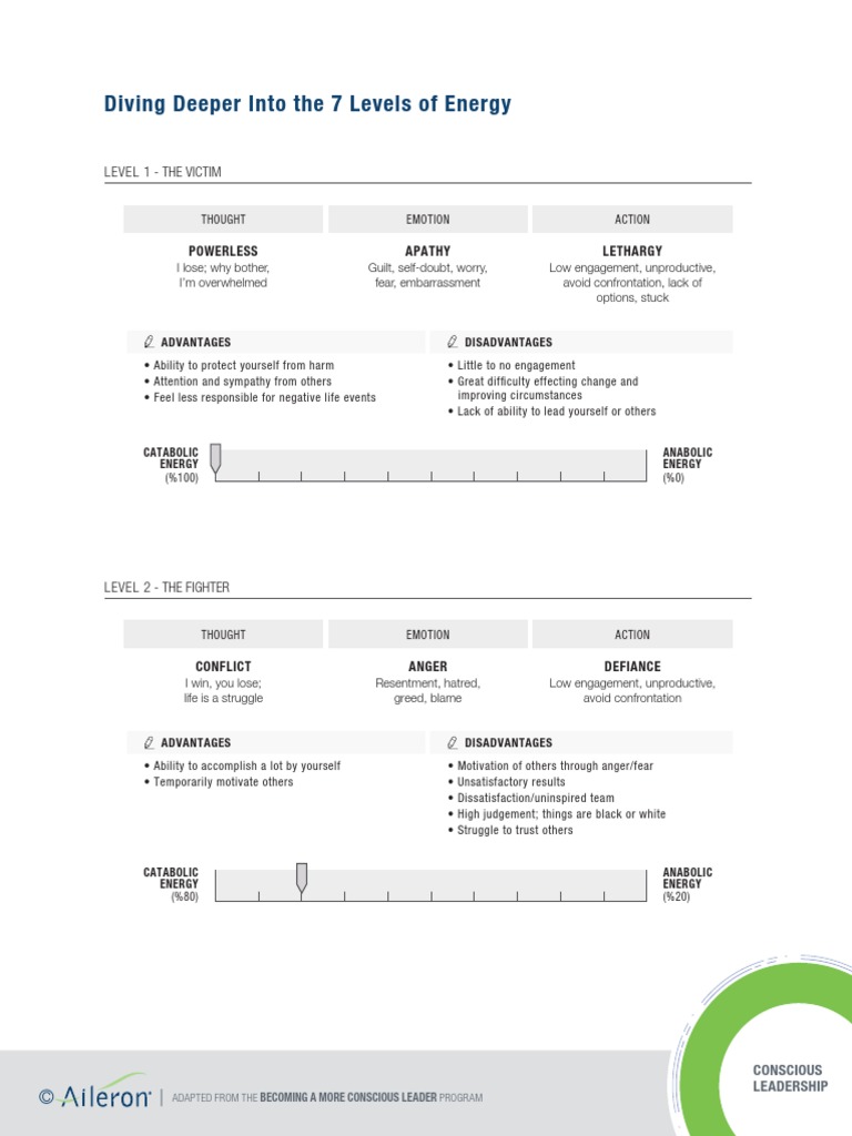 Diving Deeper Into The 7 Levels of Energy | PDF | Anger | Emotions