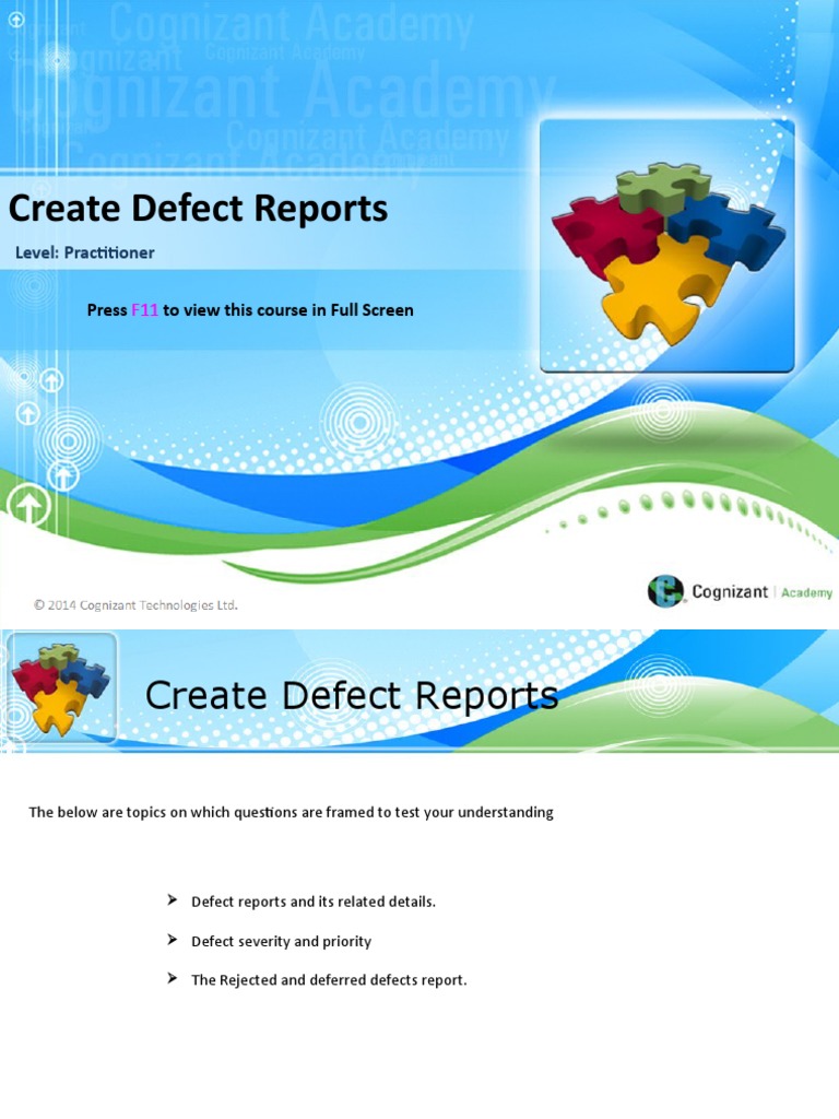 Defect Reporting Best Practices Guide | PDF | Technology & Engineering