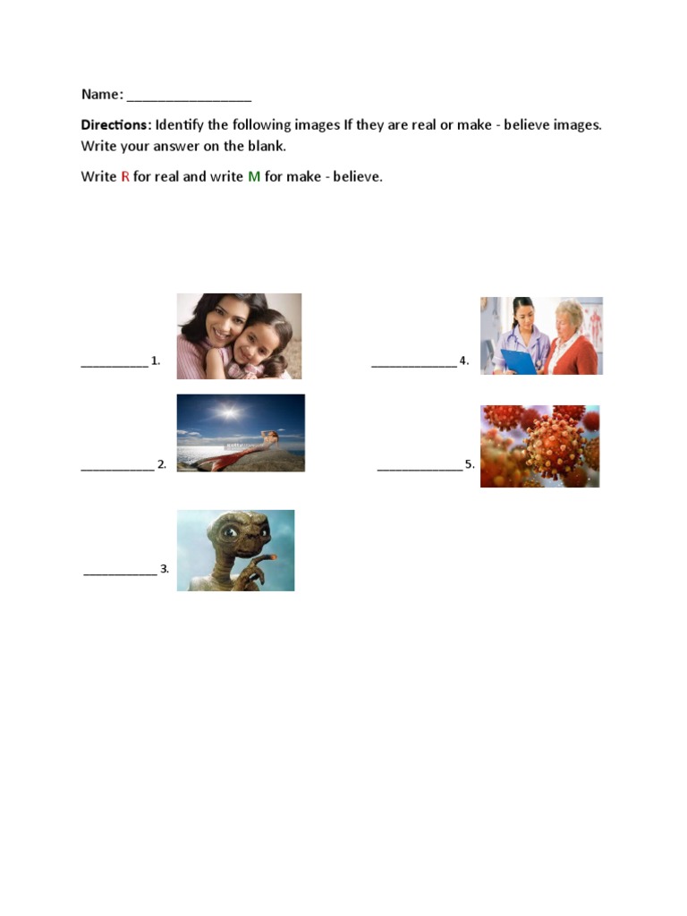 Activity Real or Make Believe | PDF