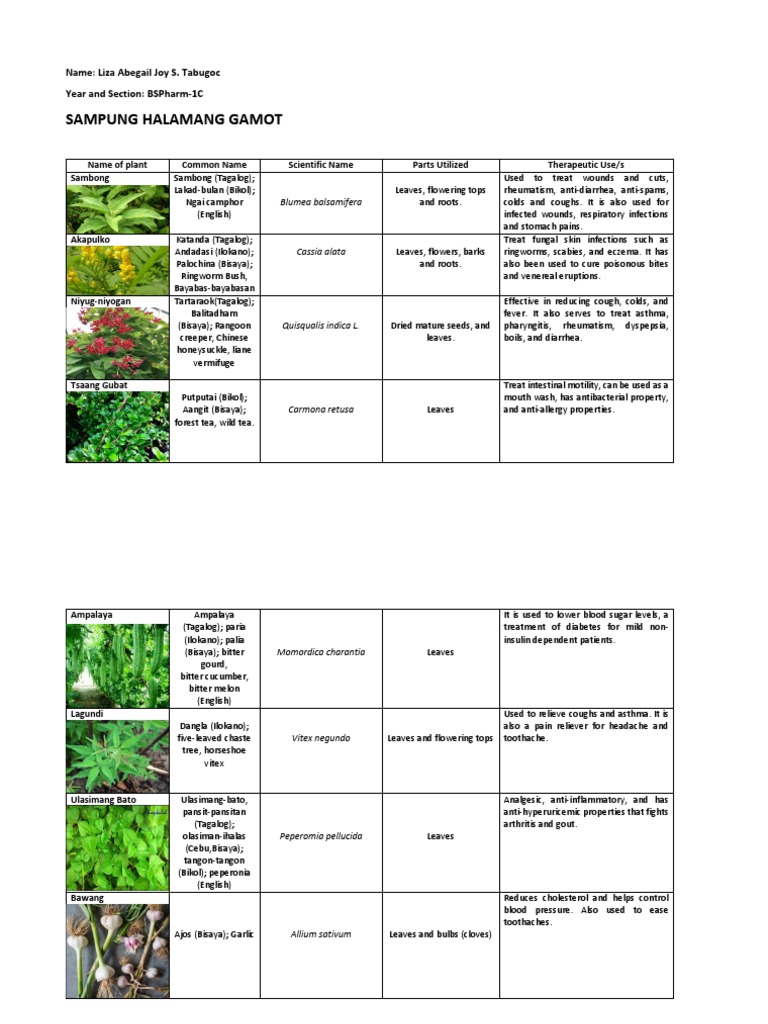 Sampung Halamang Gamot Guide | PDF | Diseases And Disorders | Clinical ...