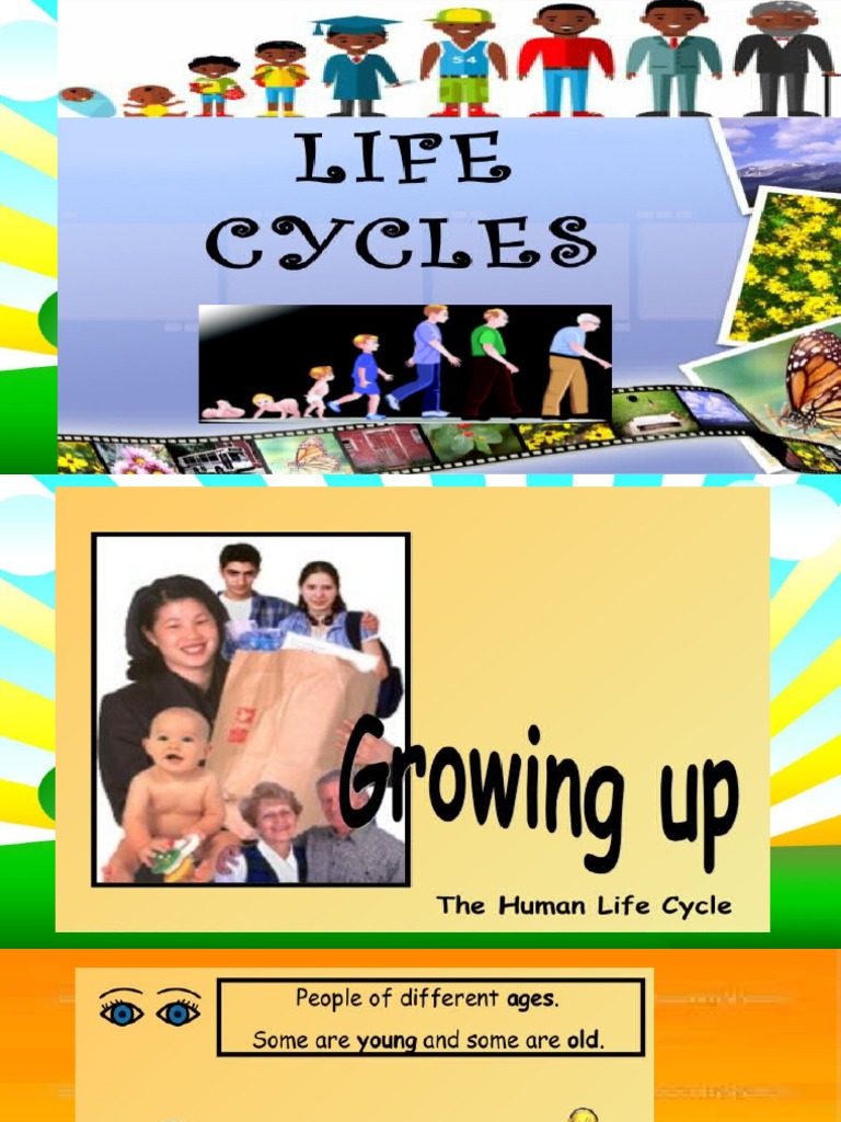 Human Life Cycle | PDF