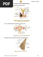Human Reproduction Class 12 Notes Biology - MyCBSEguide - CBSE Papers ...