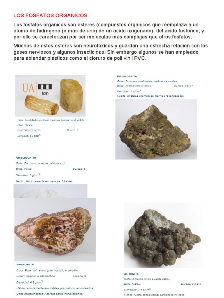 Los Fosfatos Orgánicos | PDF