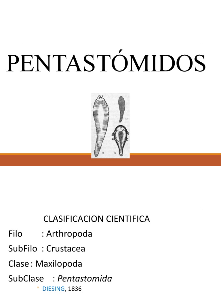 Pentastomidos | Descargar gratis PDF | Zoología | Biología