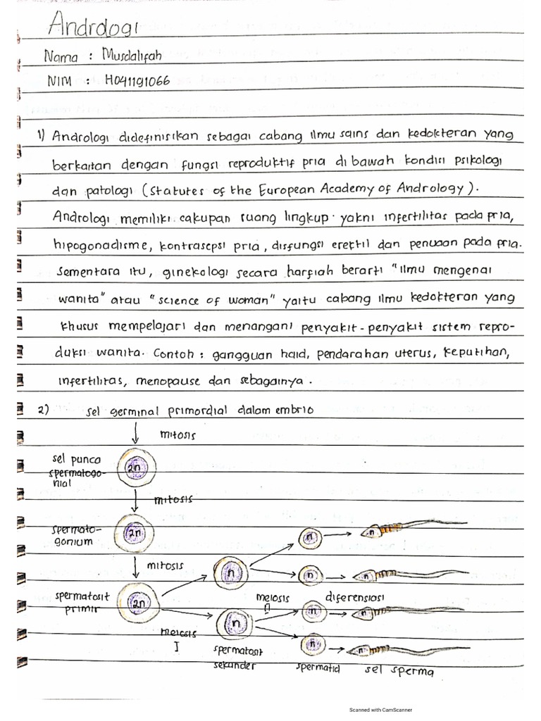 Pre-Test Andrology | PDF