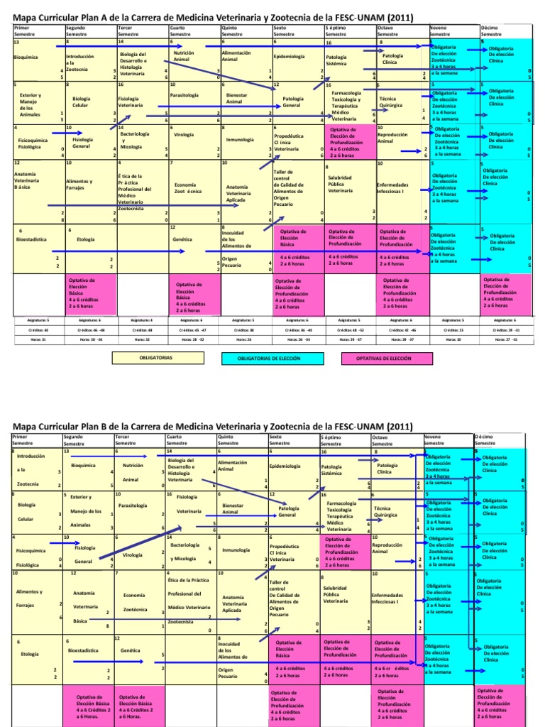 Mapa Curricular Medicina Veterinaria FESC-UNAM | PDF | Patología ...