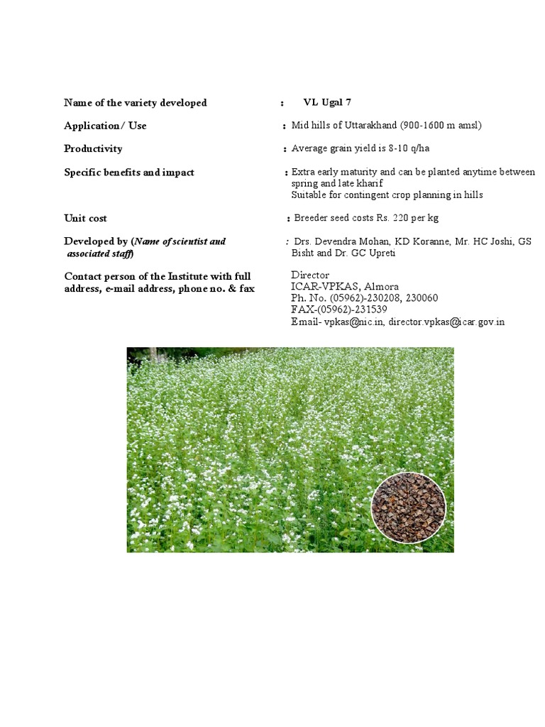 VL Ugal 7: Early Maturing Crop for Uttarakhand | PDF