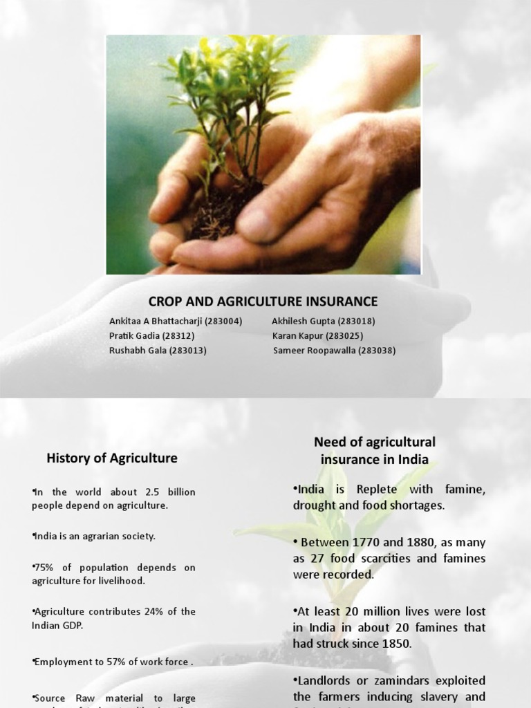 Banking & Insurance | PDF | Insurance | Crop Insurance