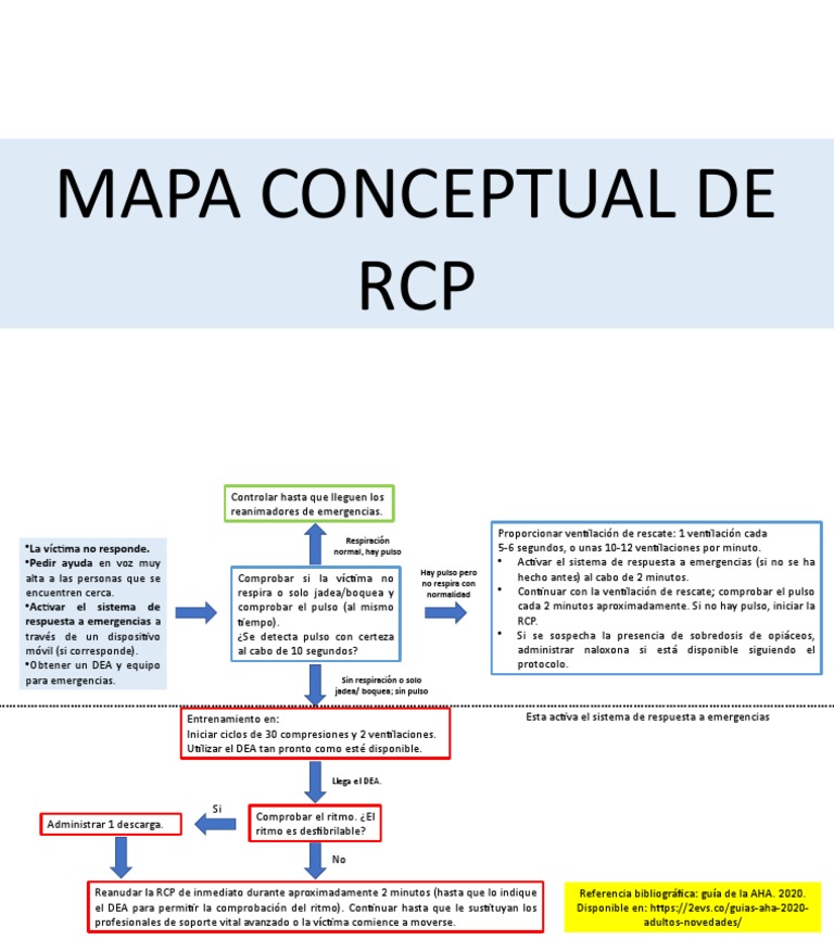 Mapa Conceptual Del RCP | PDF | Reanimación cardiopulmonar ...
