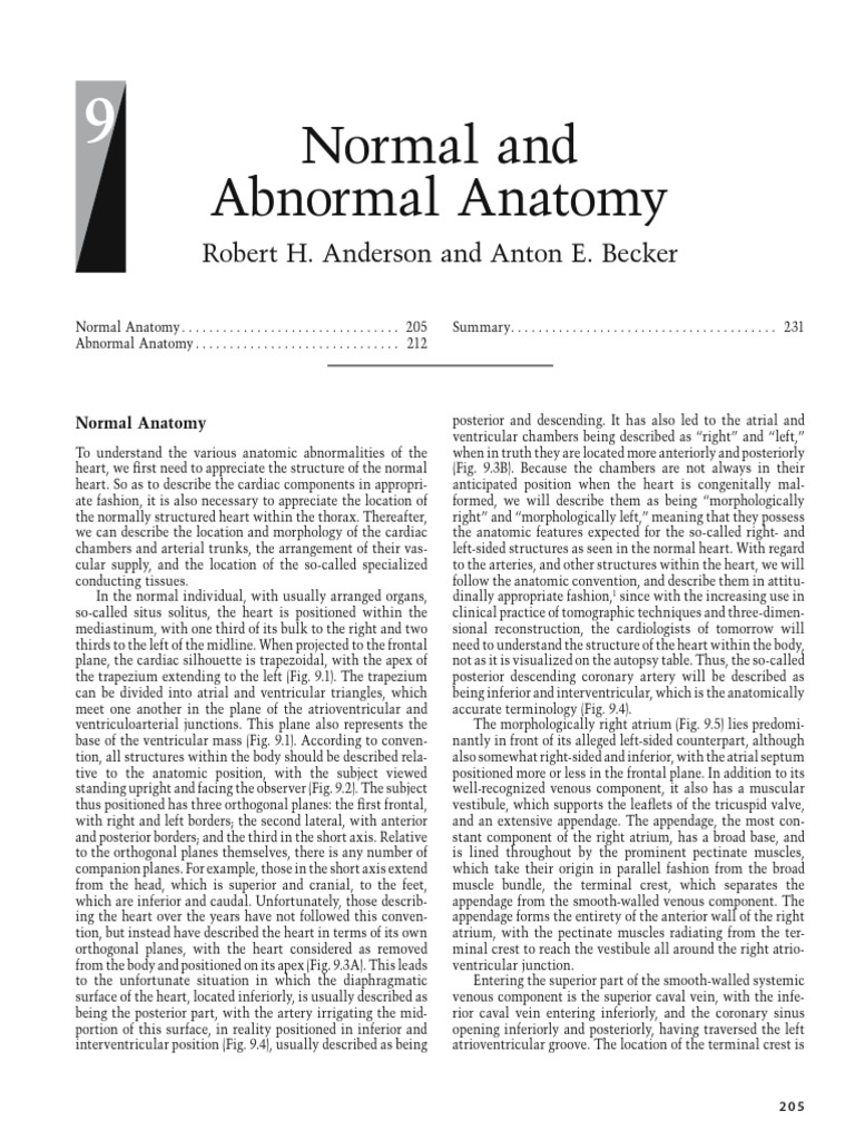 Normal and Abnormal Anatomy | PDF | Atrium (Heart) | Coronary Circulation