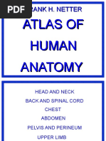 Netter - Atlas of Human Anatomy | PDF | Abdomen | Pelvis