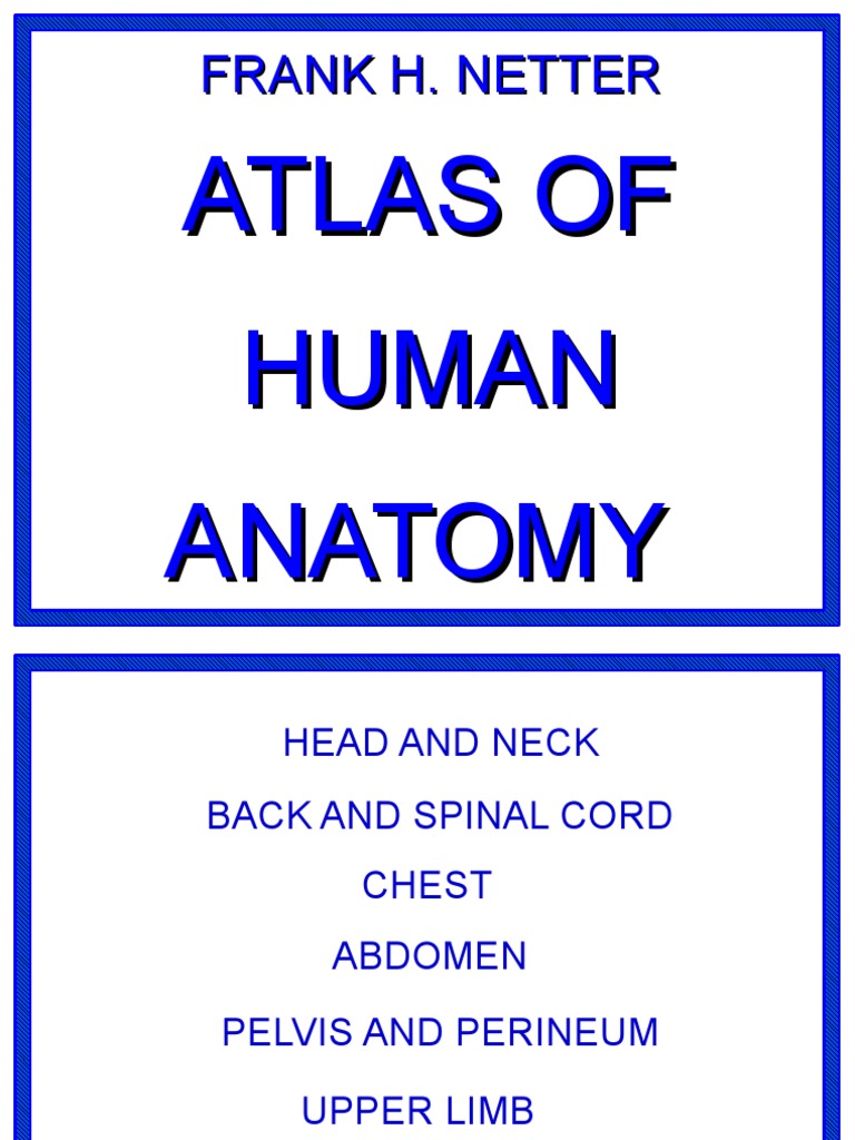 Netter Atlas of Human Anatomy | PDF | Abdomen | Pelvis