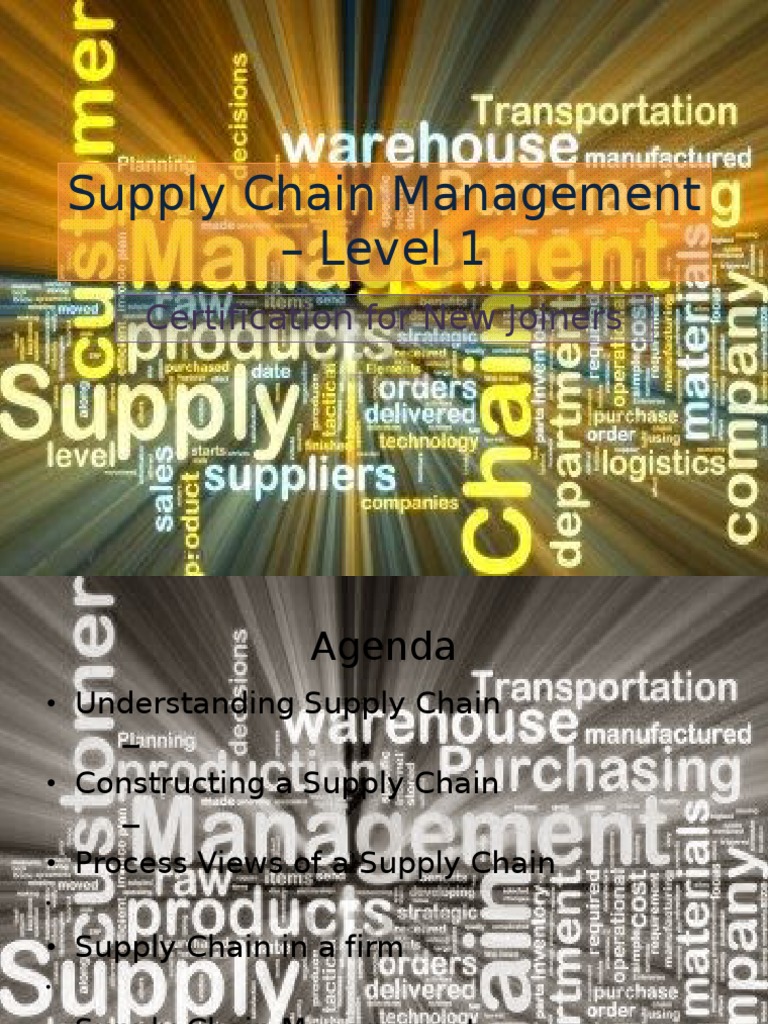 Supply Chain Management - Level 1 | PDF | Supply Chain | Inventory
