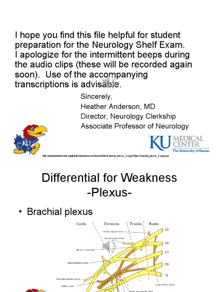 Neurology Shelf Exam Review - Part 2.new | PDF | Parietal Lobe | Weakness