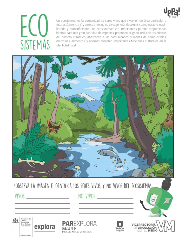 Juego Ecosistema | PDF | Ecosistema | Deforestación