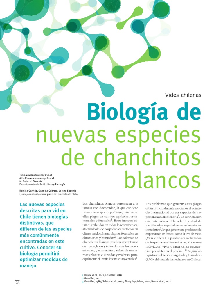 Zaviezo Et Al 2015 Nuevas Especies de Chanchitos - Blancos en Chile ...