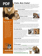 The Gluttonous Beast - StreetCatWiki | PDF | Cats