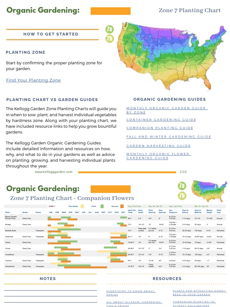 Zone 7 Planting Guide & Schedule | PDF | Perennial Plant | Flowers