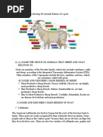 Sheep Goat 1 | PDF