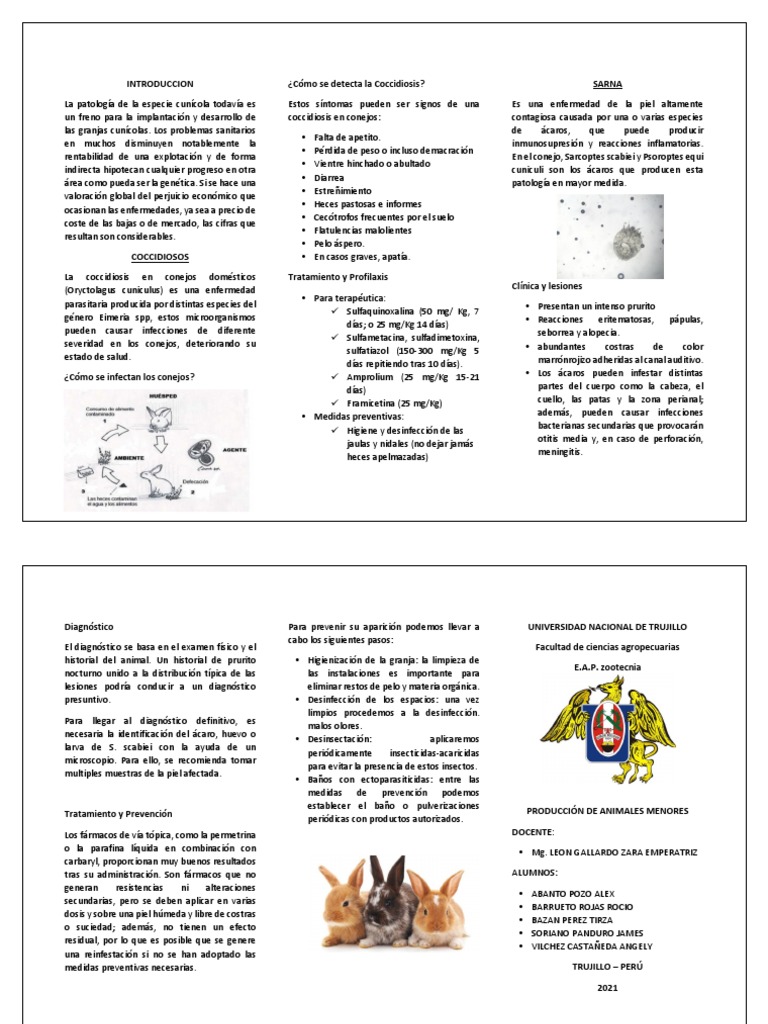 Coccidiosis y Sarna en Conejos | PDF | Inmunología | Ciencias de la Salud