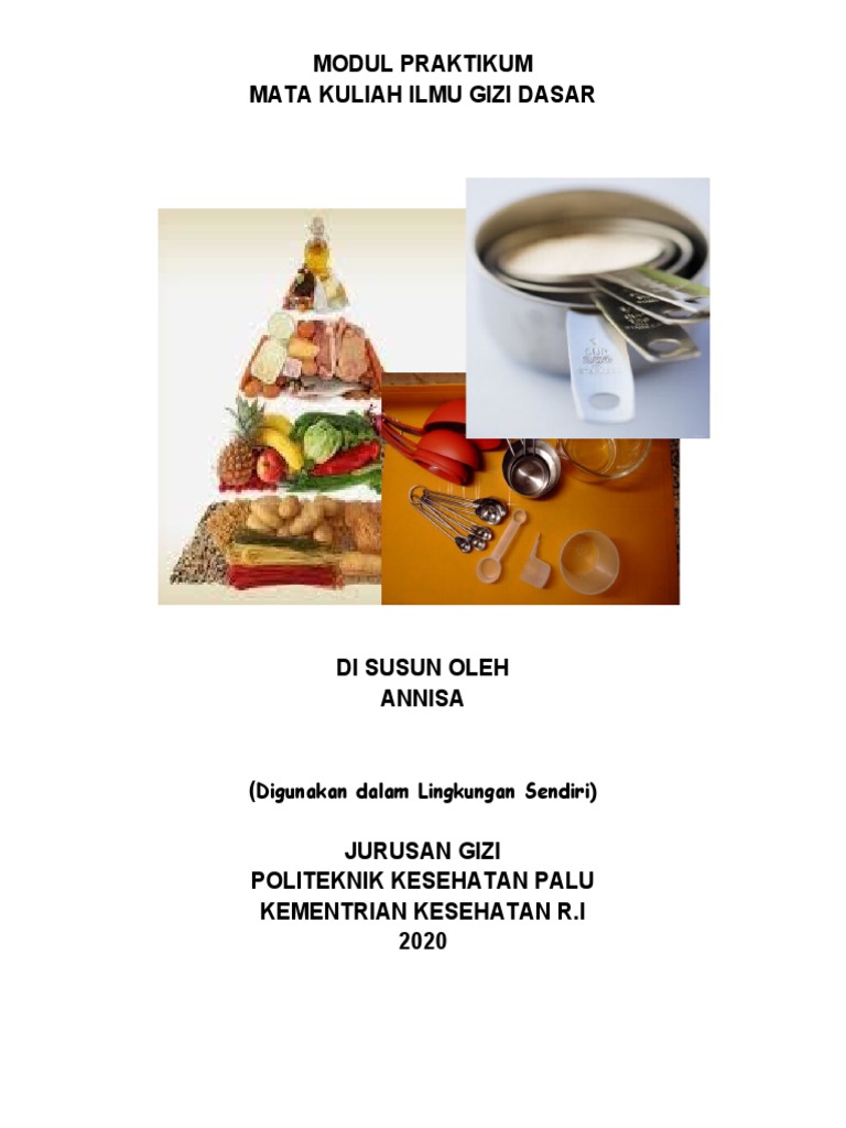 Menganalisis Kebutuhan Gizi Individu Menggunakan AKG 2019 | PDF