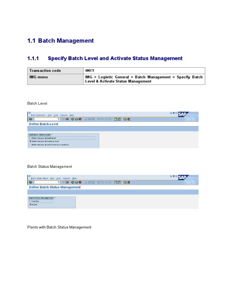 1.1.1 Specify Batch Level and Activate Status Management | PDF