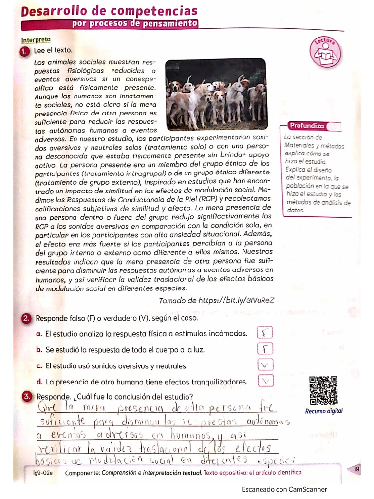 Unidad 2 y 3 de Español | PDF