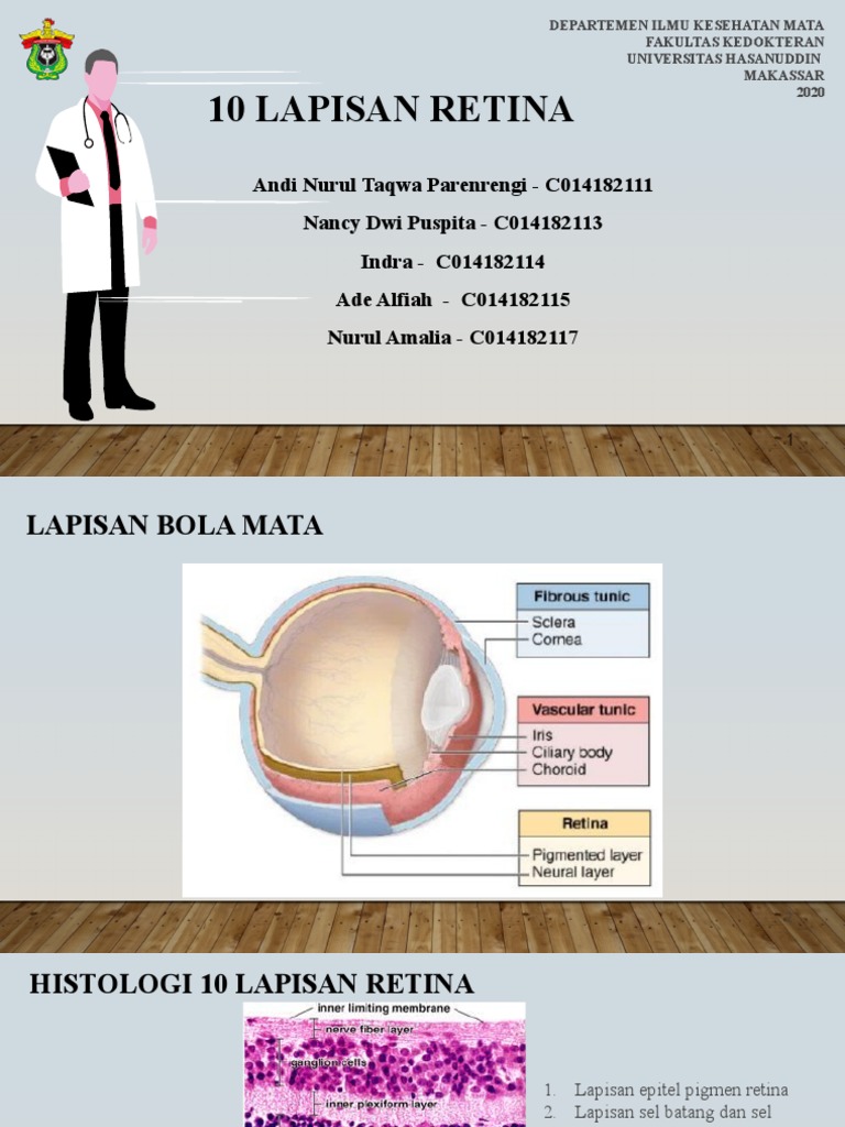 10 Lapisan Retina | PDF