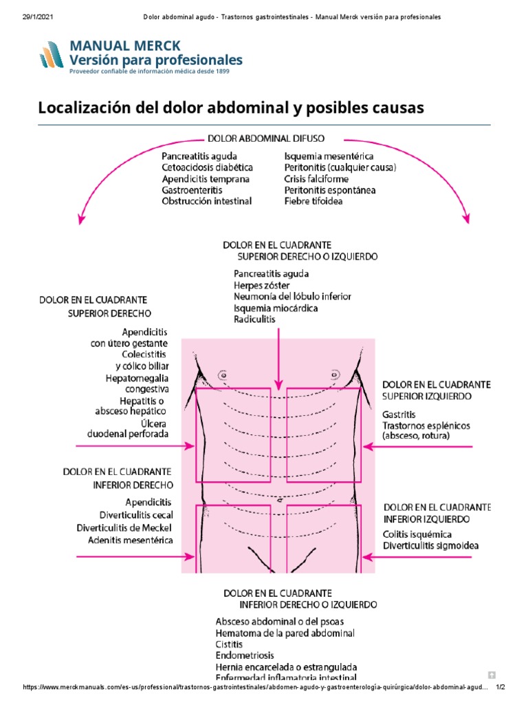 Dolor Abdominal Agudo Localización y Posibles Causass - Manual Merck | PDF