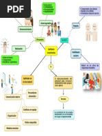 Autoconocimiento Mapa Mental PDF | PDF | Conceptos psicologicos | Sicología