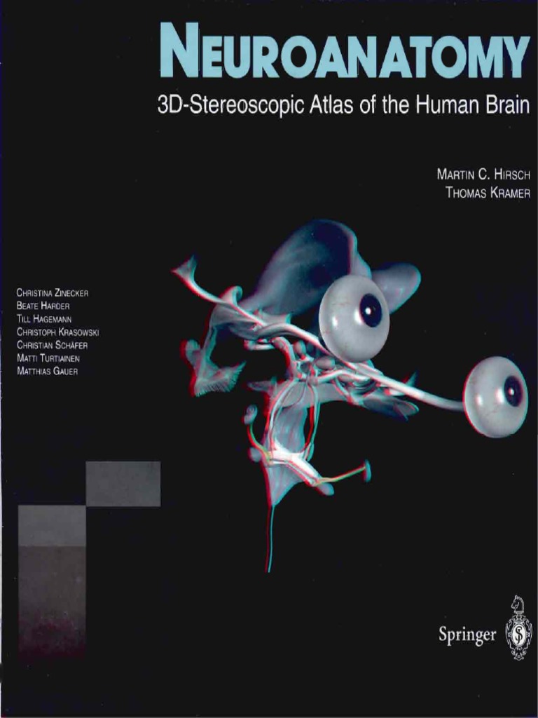 Neuroanatomia 3D Stereoscopic Atlas of The Human Brain | PDF