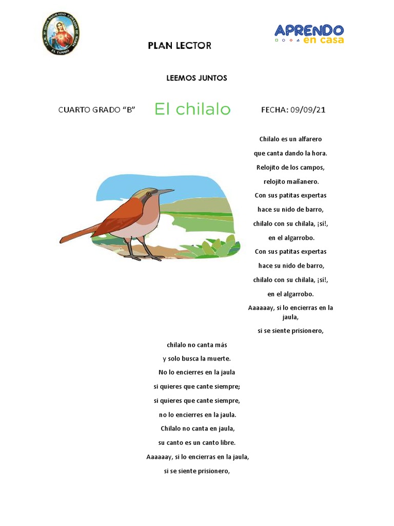 Leemos Juntos Chilalo | PDF | Aves holarctic | Paravianos