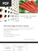 Carrot | PDF