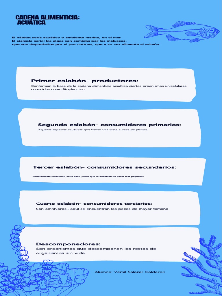Cadena Alimenticia Acuática Esencial | PDF | Ciencia y matemáticas