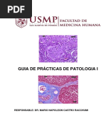 05 Tejidos Epiteliales III Especializaciones Del Dominio Basolateral ...